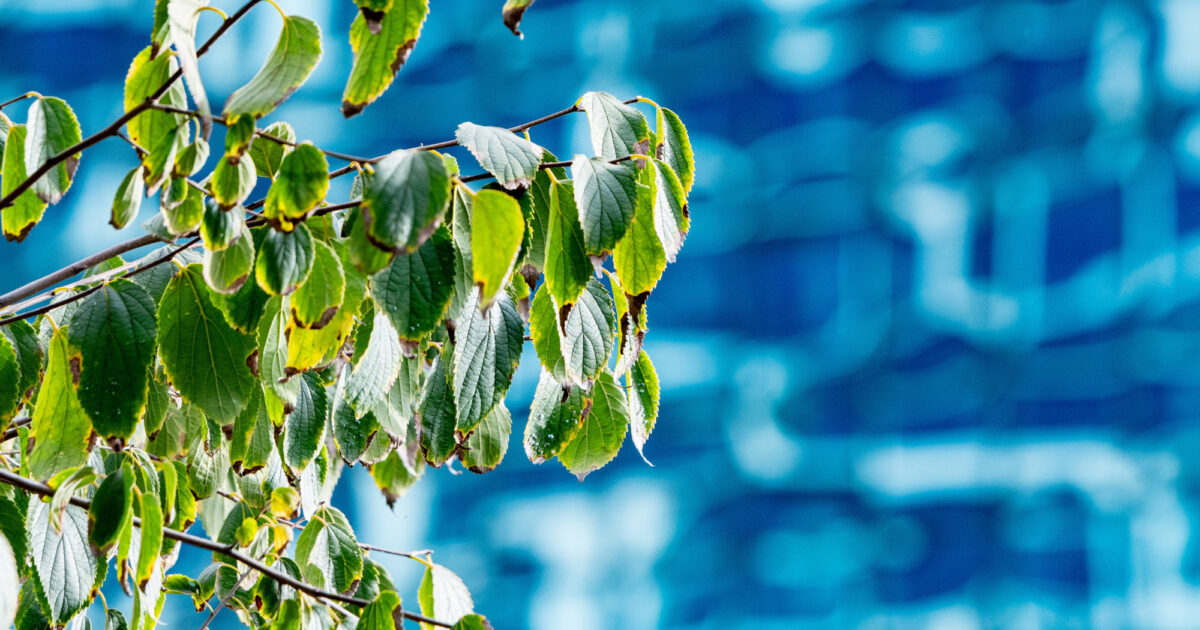 ASIC’s implementation roadmap for the new digital assets framework