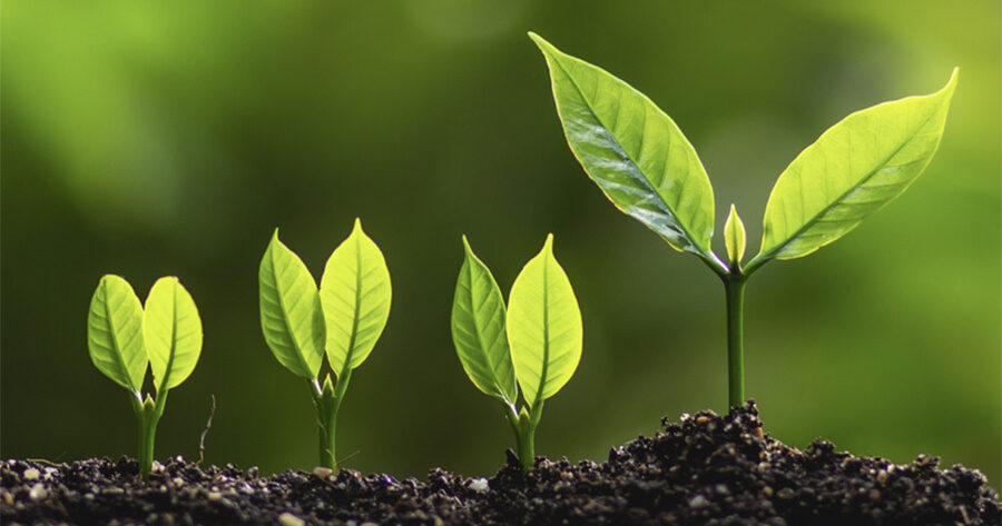 Hall & Wilcox advises on establishment of Australia’s first…